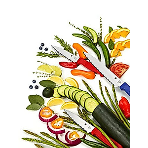 Spyderco Lightweight Kitchen Utility Knife with 6.5" MBS-26 Stainless Steel Blade and Black Polypropylene Plastic Handle - SpyderEdge - K04SBK