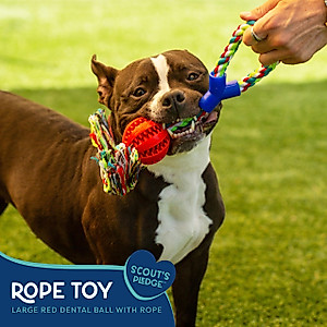 Good Scout Rubber Dental Ball & Cotton Rope Dog Toys for Tugging & Chewing, Best Dog Toy for Fetch, Chew Toy for Puppies & Adult Dogs, Dog Toy for Medium & Large Dogs with Treat Storage, 2.75-Inch