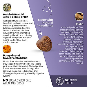 ANP Advanced Prebiotic & Probiotic Natural Chews for Dogs - No Animal Proteins, Gut Flora Health, Clinically Studied ProSEB Multi® for Digestive Health, Including Diarrhea Relief and Bowel Stability