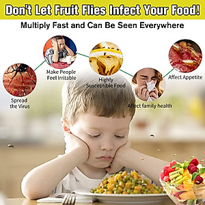 Fruit Fly Trap with Sticker, Effective Gnat Traps for House Indoor, Non-Toxic Reusable Fruit Fly Gnat Killer Fly Catcher, Comes with Attractant