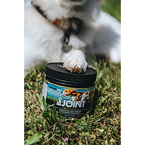BiologicVET - BioJOINT Advanced Joint Mobility Support, Advanced Hip, Joint, Cartilage & Connective Tissue Support, 40-Day Supply for 20-lb. Animal, 7-oz. Powder