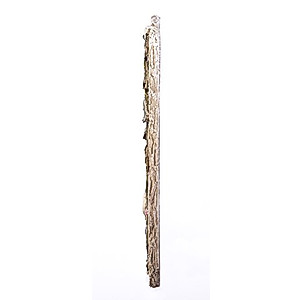 Evergreen Those We Love Don't Go Away Garden Memorial Stone | Outdoor Safe | 10-Inch | Remembrance Gift | Décor for Homes, Lawn and Garden