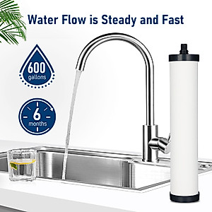 PERCOLA FRC06 Cartridge, Compatible with FRCNSTR/FRC06, FRCNSTR100/FRC06 filter cartridge and Franke Still Pure Under-Sink Filtration System, 2 Pack