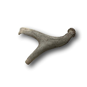Top Dog Chews Premium Large Grade A Whitetail Deer Antler for Dogs - Single Antler