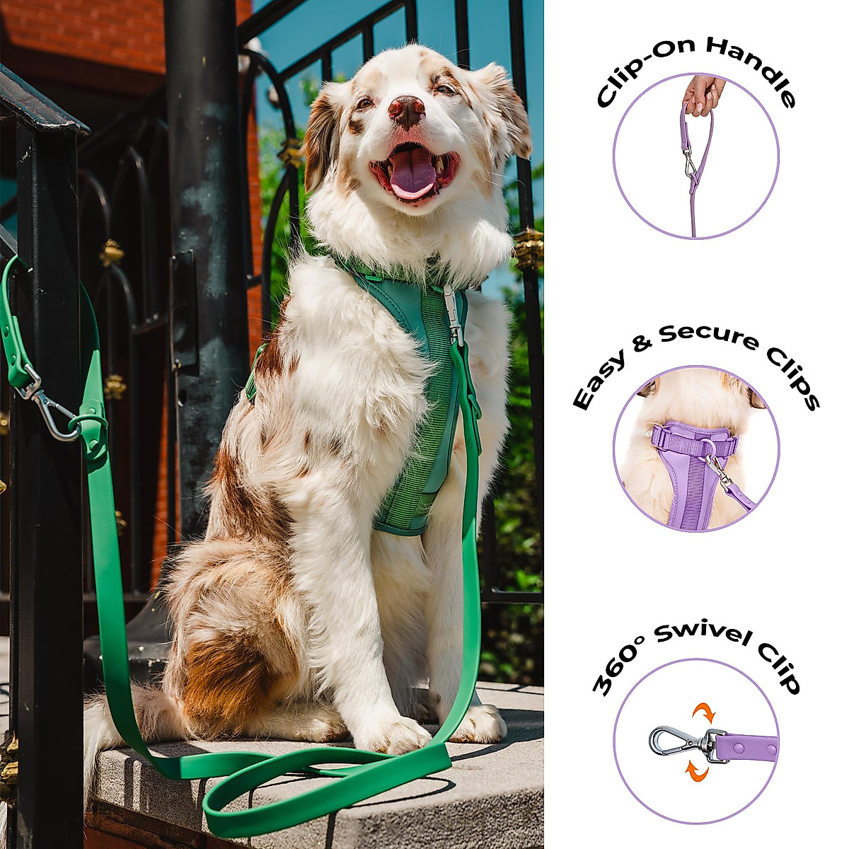 Dog Harness and Leash Set | BearBone No Pull Dog Harness and Waterproof Dog Collar and Leash Set | Heavy Duty Dog Harness, Leash and Collar | Medium Dog Harness, Leash and Collar (Lilac, Medium)
