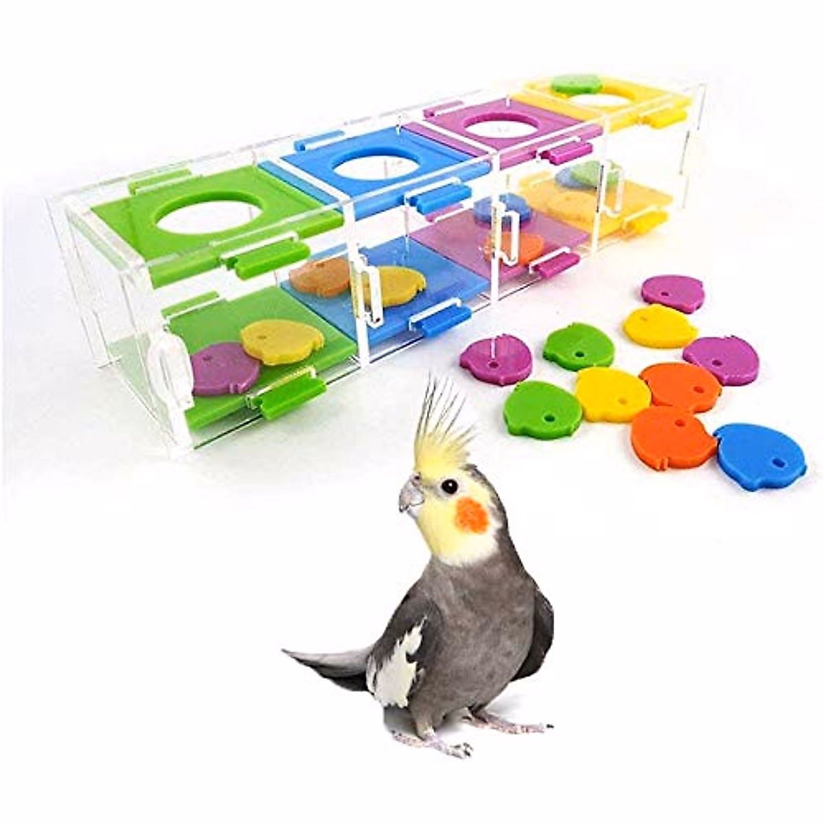 Litewoo Parrot Intelligence Training Toy Color Separation Coin Box Education Interactive Playing Puzzle Toy for Birds Parakeet Cockatiel Amazon Budgie Cockatoo Finch Conures Macaw