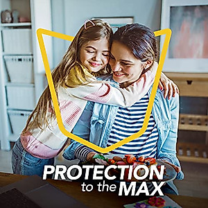 Raid Max Ant and Roach Spray, 14.5 OZ (Pack of 6)