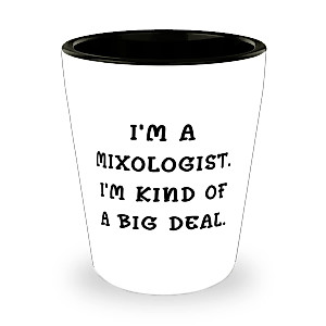 I'm a Mixologist. I'm kind of a big deal. Mixologist Shot Glass, Perfect Mixologist, Ceramic Cup For Coworkers