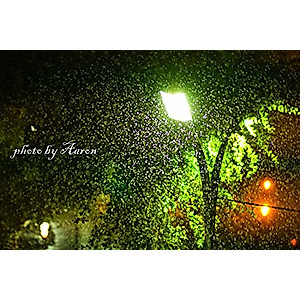 Lightdow 85mm F1.8 Medium Telephoto Manual Focus Full Frame Portrait Lens for Canon EOS Rebel T8i T7i T7 T6 T3i T2i 4000D 2000D 1300D 850D 800D 600D 550D 90D 80D 77D 70D 50D 6D 5D etc