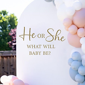 ZAIBIANHAO HE or SHE What Will Baby Be Gender Reveal Party Decal - Gender Reveal Party Decorations,Boy or Girl Baby Shower Backdrop Sign,He or She Baby Shower Decal (HE or SHE Baby Decal)