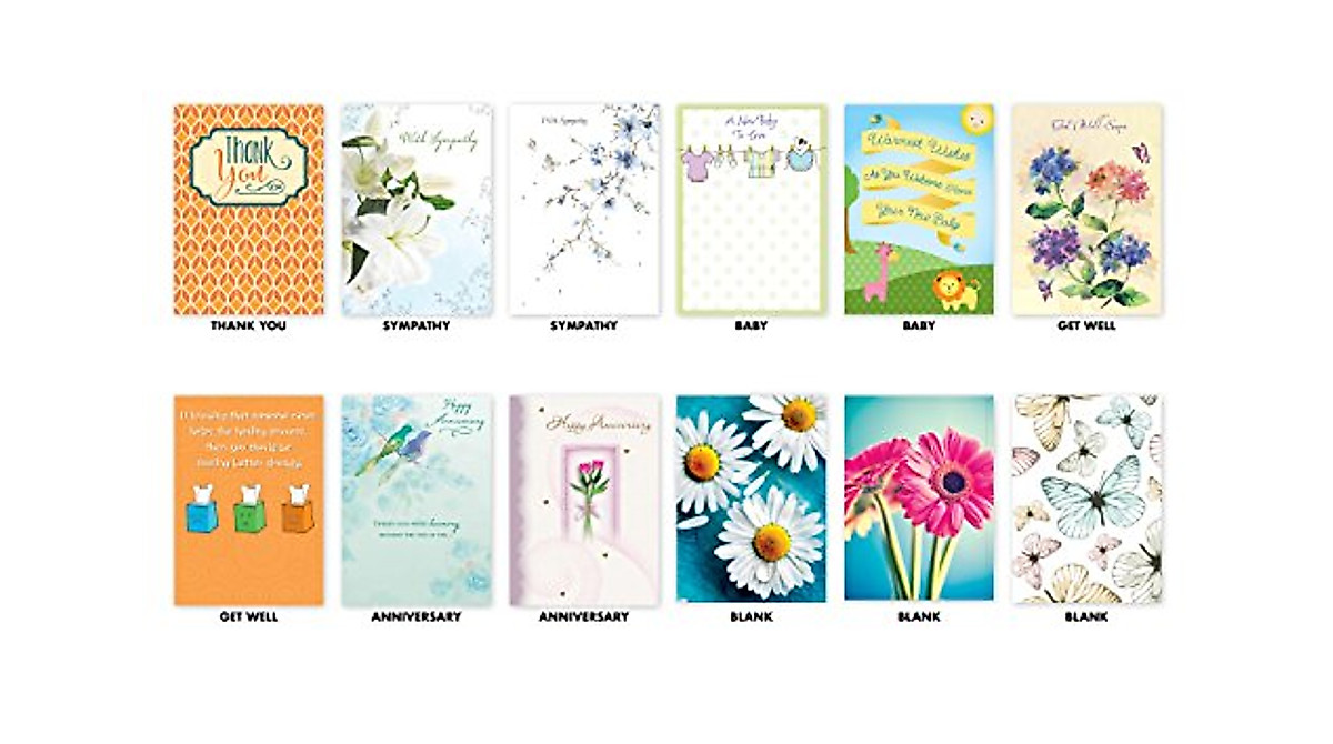 Designer Greetings All Occasion Card Set – 24 Cards