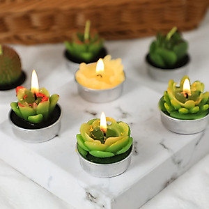 SCENTORINI Tealight Candles, 12 Pack Cactus Candles, Cute Tealight Candles for Christmas Decorations, Mini Delicate Candles, Unscented Candles Gift for Birthday Party Wedding Home Decor