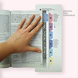 PEZ DE PAPEL Pestañas para Biblia Católica, en español. Catholic Bible Tabs, in Spanish (Azul y gris/Blue and gray)