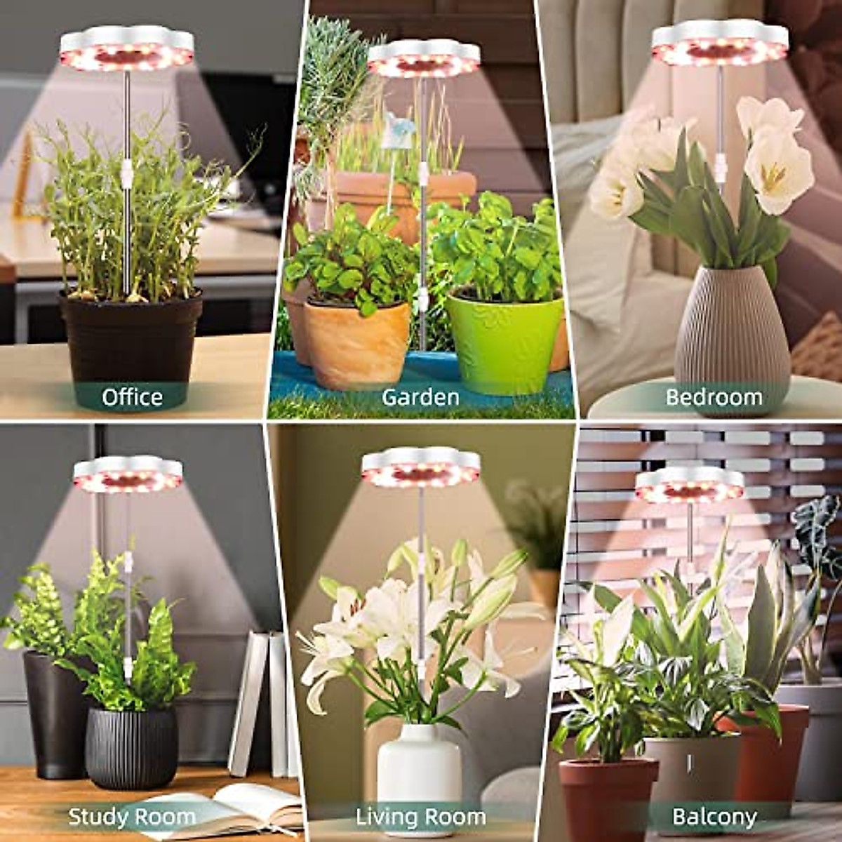 Grow Light Full Spectrum Plant Light for Indoor Plants, Height Adjustable Growing Lamp with Auto On/Off Timer 3/9/12H, 10 Dimmable Levels, 3 Light Modes Small Plant Grow Light