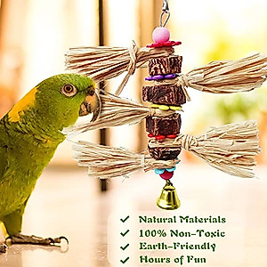 Bird Chewing Toys - Wicker Ball Natural Cuttlebone Woven Grass Bird Beak Grinding Chew Shredder Toy with Bell, Texsens Bird Backpack Cage Hanging Toy for Parrot Parakeet Cockatiel Conure African Grey