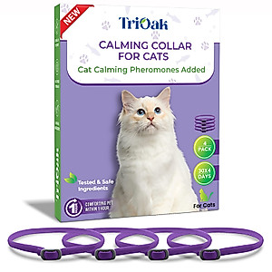 TriOak 4 Pack Calming Collar for Cats, Cat Calming Collar, Calming Pheromone Collar for Cats, Cat Pheromone Collar, Cat Calming Collar for Anxiety, Efficient Relieve Anxiety Stress (Purple)