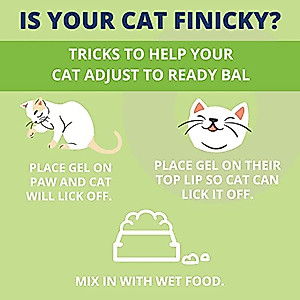 Under the Weather Pet | Ready Balance for Cats | Oral Probiotic and Prebiotic Gel | Maximum Strength Digestive Support | Beneficial Bacteria, Live Probiotics, Vitamins & Prebiotic Inulin