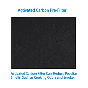 D480 Replacement Filter D4 Compatible with Winix D480 Air Purifier, Item Number 1712-0100-00, 2 True HEPA D4 Filters and 8 Activated Carbon Pre-Filters