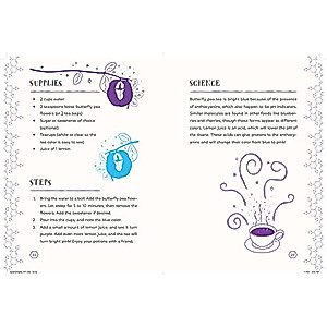 The Science Spell Book: 30 Enchanting Experiments for Kids