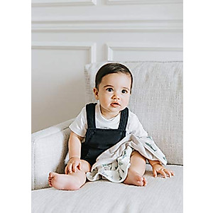 Copper Pearl 3-Layer Knit Security Blanket Set Sized 16" x 16" 2-Pack Pacific