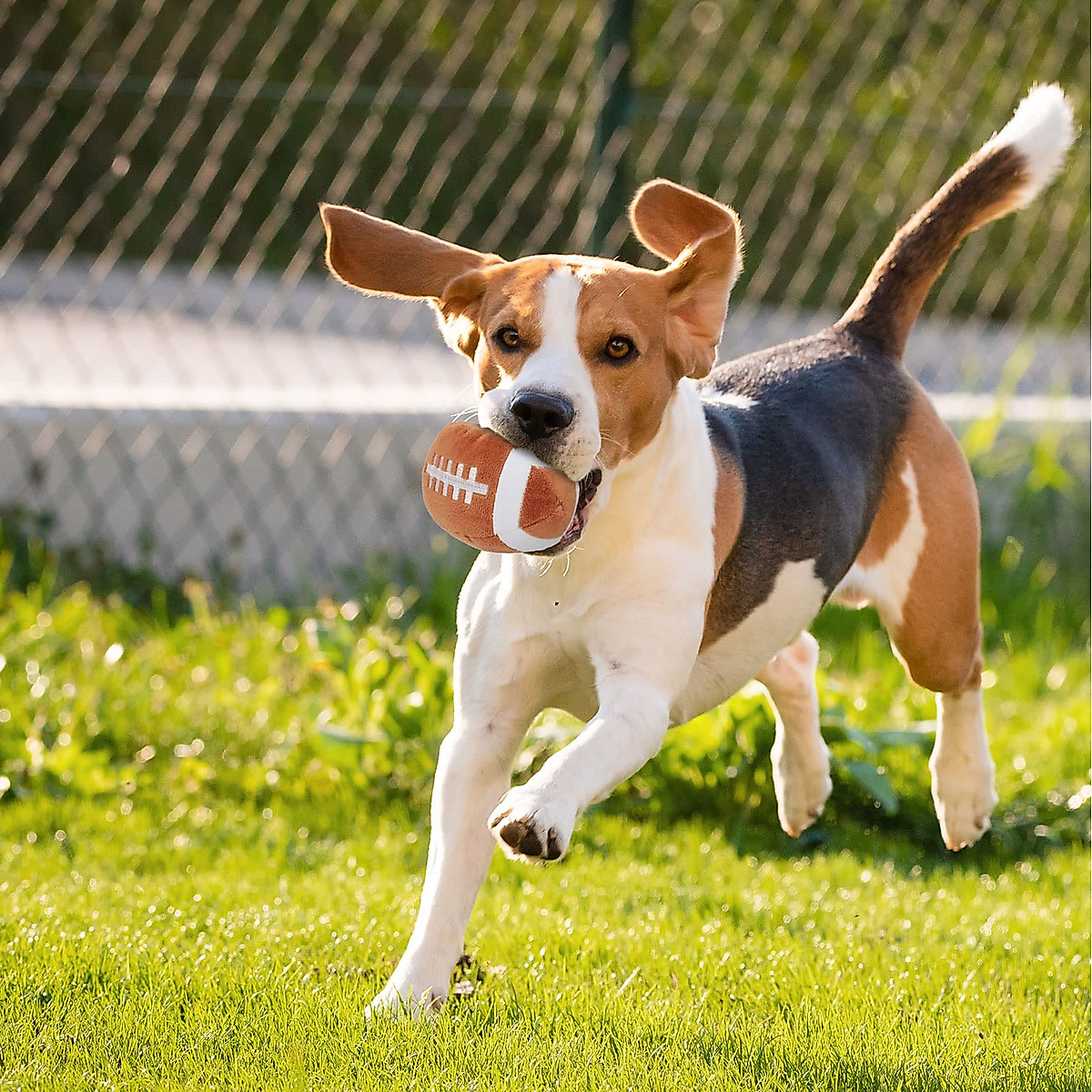 TONYFY Dog Toys Balls - Chewable Plush Rugby for Dogs, Soft Pet Squeaky Ball Stuffed with Fluffy, Durable Indoor & Outdoor Dog Puzzle Toy, Birthday for Puppy Small and Medium Breeds