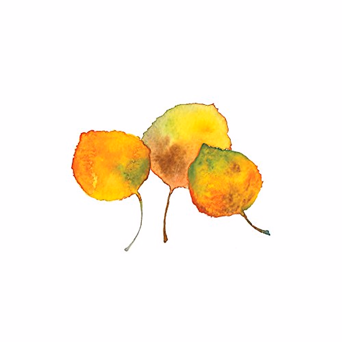 Peaks Publishing Inc Aspen Treasure Note Cards Thank You Cards All Occasion Greeting Cards Stationery - Boxed Set of 20 Cards and Matching Envelopes