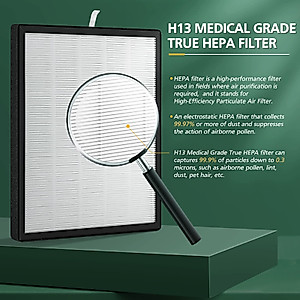 Filter Replacements for HSP001 Smart True HEPA Air Purifier, 4 Stage Filtration of Fine Pre-Filter, Activated Carbon, Cold Catalyst and H13 True HEPA Filter