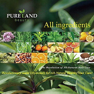 Pureland Beauty Harmony Cleansing Dew - 8.5 fl oz..