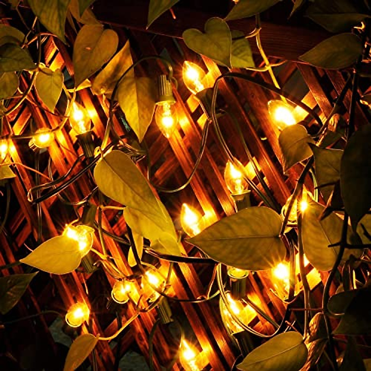 Pallerina C7 Christmas Lights, 25Ft C7 Clear Christmas String Lights with 27 C7 Warm White Bulbs, Vintage Christmas String Lights for Garden, Patio, Backyard, Cafe, Xmas Party, 5 Watt e12 Base