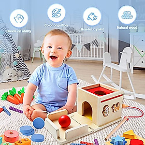 Asweets 8 in 1 Montessori Toys for 1 Year Old Includes Object Permanence Box，Montessori Coin Box，Carrot Harvest Game，Matchstick Color Drop Game，Ball Drop Learning Toys for 6-12 Months