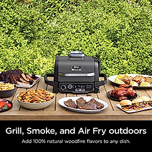 Ninja OG751 Woodfire Pro Outdoor Grill & Smoker with Built-In Thermometer, 7-in-1 Master Grill, BBQ Smoker, Air Fryer, Bake, Roast, Dehydrate, Broil, Ninja Woodfire Pellets, Portable, Electric, Grey