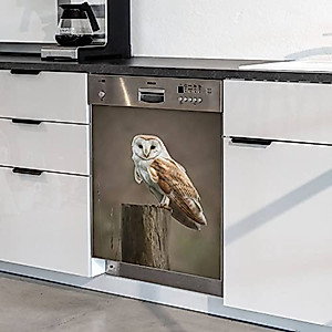 Rustic Farmhouse Dishwasher Magnet Cover Barn Owl Portrait Magnetic Refrigerator Stickers Decorative Appliance Cover Fridge Panels Metal Door Garage 23x26in