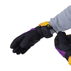 FOCO NBA Los Angeles Lakers Gradient Big Logo Insulated Winter Ski GovesGradient Big Logo Insulated Winter Ski Goves, Gradient Print, S/M