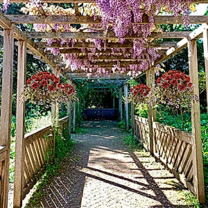 Homsunny Artificial Hanging Flowers in Basket Outdoor Indoor Patio Lawn Garden Decor, Hanging Daisy Basket with 12inch Coconut Lining Chain Flowerpot (Dark Purple)