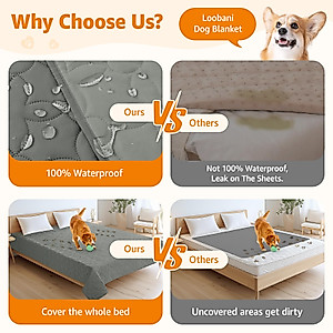 LOOBANI Waterproof Blanket Couch Cover for Dogs - Pet Blanket for Furniture Bed Couch Sofa Covers Protector Washable Reversible (Dark Gray+Light Gray,68'' x 82'',2 Pack)