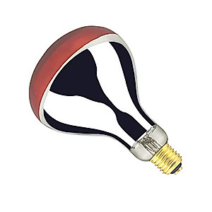 BONGBADA Heat Lamp Bulb R40 250 Watt 2 Pack Painted Red Infrared Glass Lamp Bulb for Food Service, Brooder Bulb, Chicks, Pet, Bathroom (Red Painted-1.0 Version, R40/250W)