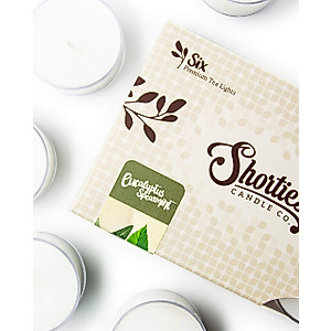 Eucalyptus Spearmint Premium Tealight Candles Multi Pack - Highly Scented with Essential & Natural Oils - 12 White Tea Lights - Beautiful Candlelight - Made in The USA - Fresh & Clean Collection