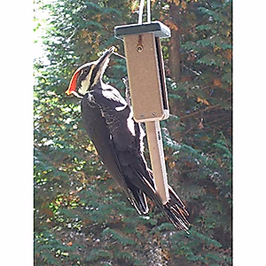 Birds Choice SNTP Recycled Single Cake Tail Prop Suet Feeder, 1 Suet Cake, 8"L X 3"W Xv12"H, Taupe Base w/ Green Roof