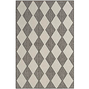 Nourison Positano Indoor/Outdoor Charcoal 4' x 6' Area Rug, Easy Cleaning, Non Shedding, Bed Room, Living Room, Dining Room, Backyard, Deck, Patio (4x6)