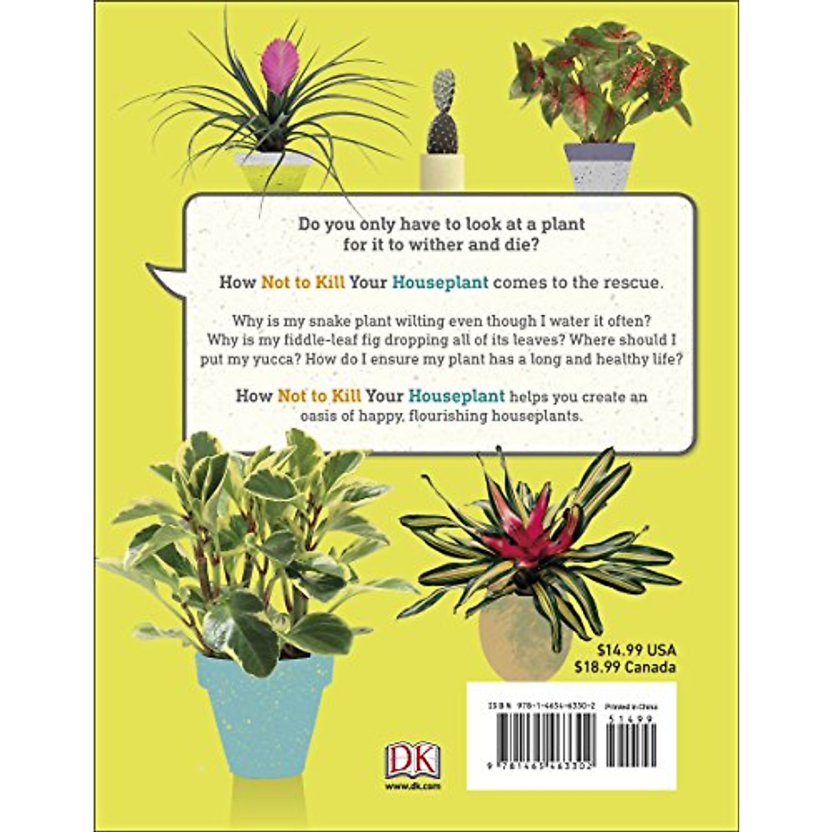 How Not to Kill Your Houseplant: Survival Tips for the Horticulturally Challenged