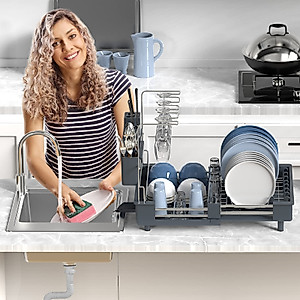 ROTTOGOON Dish Drying Rack, Stainless Steel Large Dish Rack, Expandable (12.8"-19.1") Dish Drainer with Swivel Spout, Utensil Holder, Cup Holder and Wine Glass Holder for Kitchen Counter Cabinet, Gray