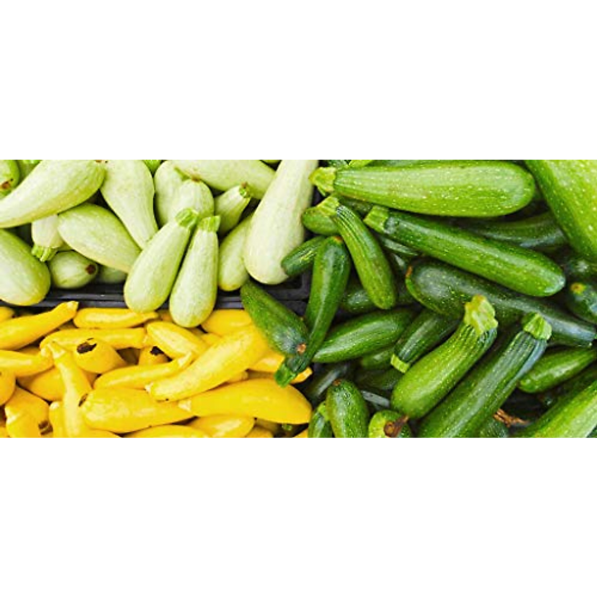 This is a Mix!!! 50+ Zucchini and Squash Mix Seeds 12 Varieties Non-GMO Delicious Grown in USA. Rare Super Profilic