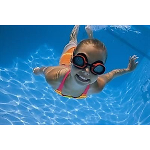 Orenda SC1000 SC-1000 Scale and Metal Control Swimming Pool Chemical, Clear