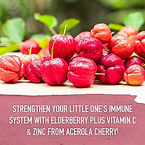 Garden of Life Elderberry Zinc Immune Support for Kids, mykind Organics Kids Cough & Mucus Immune Syrup with Ivy Leaf, Vitamin C and Echinacea for Children, Alcohol Free, No Added Sugars, 3.92 fl oz