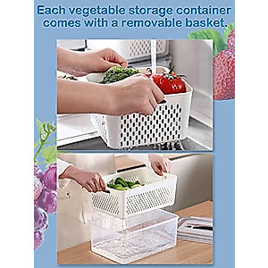 GOJUSO 4 Size Fruit Storage Containers for Fridge with Lids Clear Plastic Box Food Organization Stackable Organizer