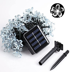 REICUA, Solar Garden Lights, Outdoor String Lights with Flowers, Waterproof 7m 50 LED 8 Twinkling Modes, Decorative Lighting Fairy Lights for Home, Gazebo, Patio, Lawn, Wedding Ornament (Blue)