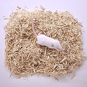 MiceDirect Frozen Mice Combo Pack of 40 Large Fuzzie & Hopper Feeder Mice – 20 Large Fuzzies & 20 Hoppers - Food for Corn Snakes, Ball Pythons, & Pet Reptiles - Snake Feed Supplies