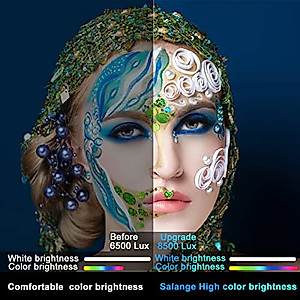 Mini Projector, Salange 2023 Upgraded WiFi Video Projector, 8500 Lumens and 1080P HD Support, Compatible w iPhones, Android Phone, Roku, HDMI, PS4, PS5, Laptop for Home Theater and Outdoor Movies