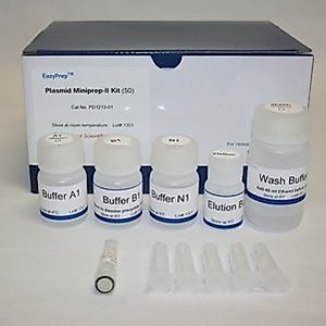 Plasmid miniprep-II kit (250 preps)