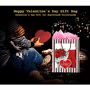 FaCraft Valentines Gift Bags with Handles Funny Valentine's Day Gift Bag with Clear Window,Happy Valentine's Day Gift Bag with Tissue Paper for Her Him Girlfriend Boyfriend Husband Wife Women Men